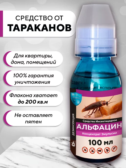 Wildberries — интернет-магазин модной одежды, обуви и аксессуаров